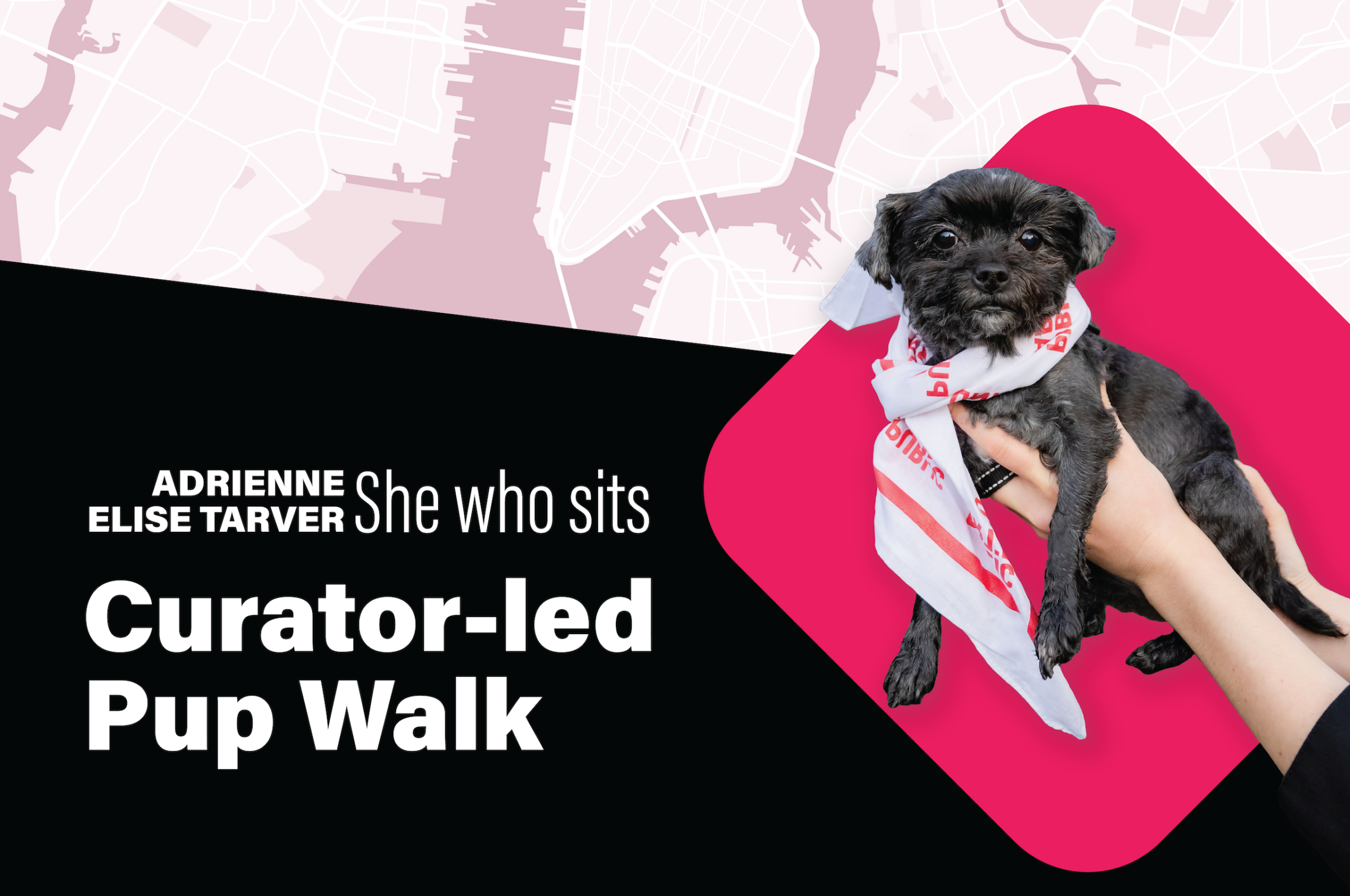 Curator-led Tour and Pup Walk - Public Art Fund